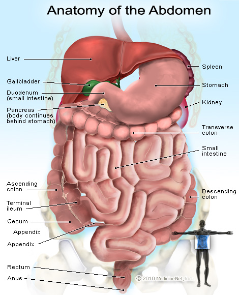 Causes Of Pain In The Right Side MD Health