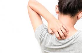 Causes of Itch All Over the Body and Relief Tips | New Health Advisor
